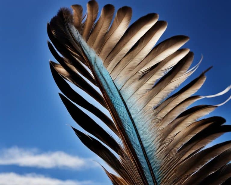 Unraveling the Hawk Feather Meaning - Take Flight!